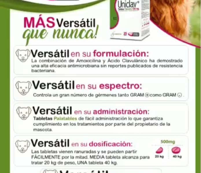 OFERTA ESPECIAL COGANCEVALLE – UNICLAV TABLETAS PALATABLES 500 mg . 10 ...