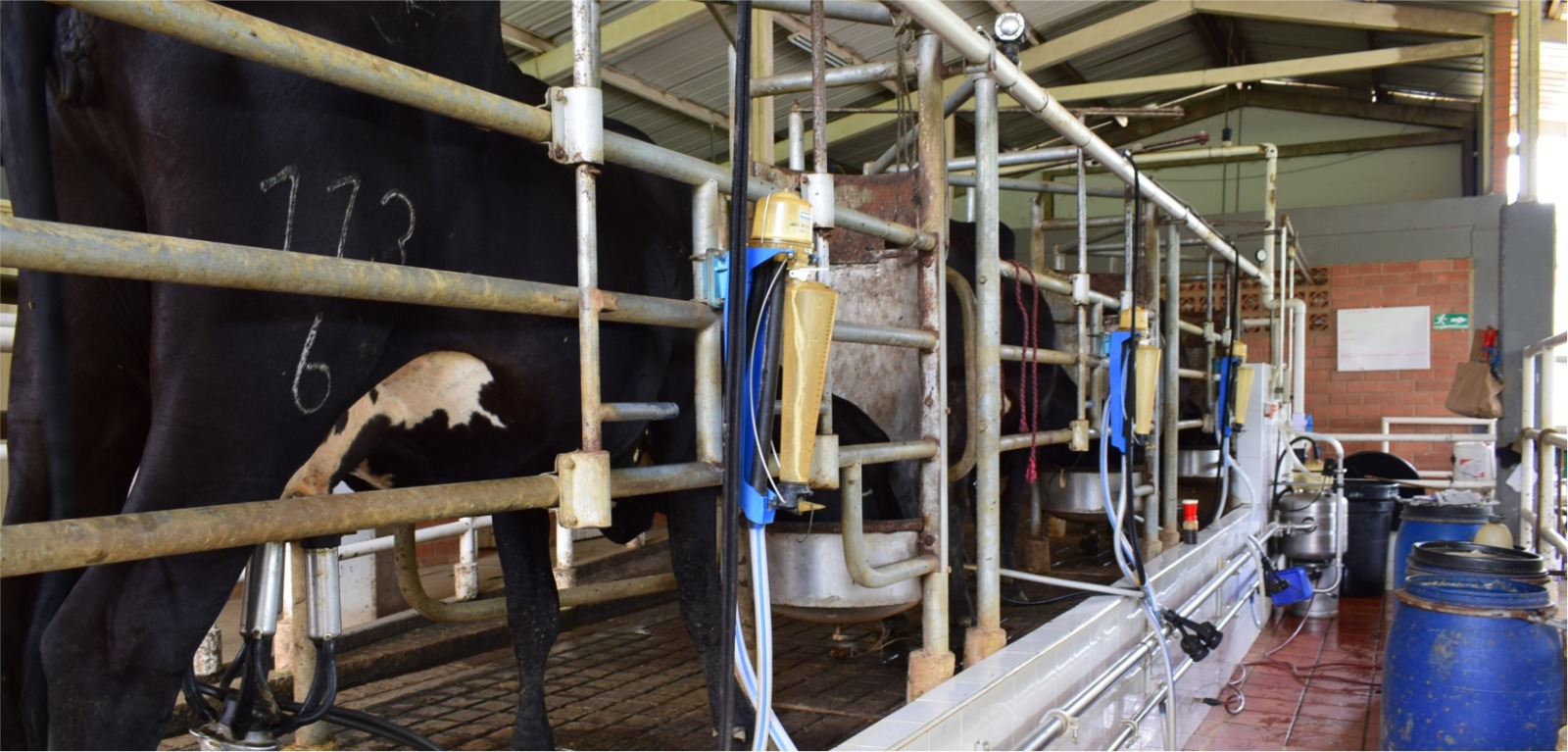 CONTROL LECHERO - Cogancevalle